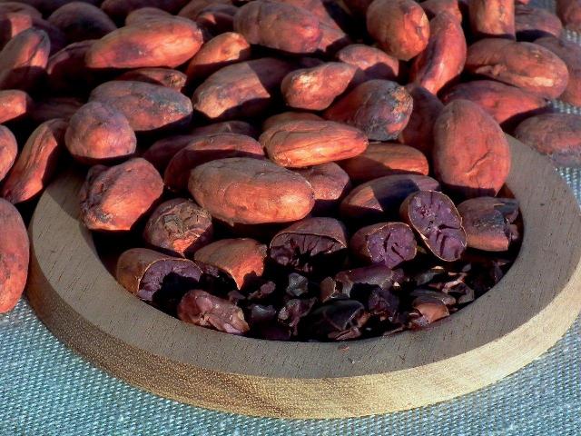 Cacao - kakaovník pravý | Institut tradiční peruánské medicíny Cacao - kakaovník pravý | Institut tradiční peruánské medicíny